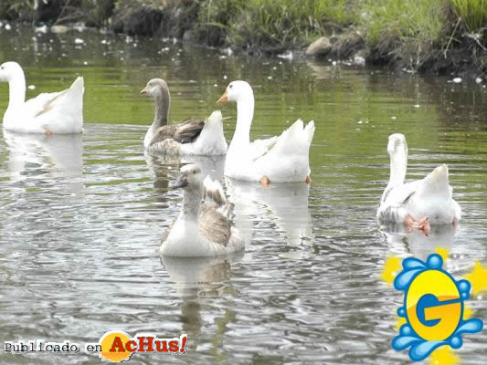 Imágenes de América Central y Caribe - Parque Guateque